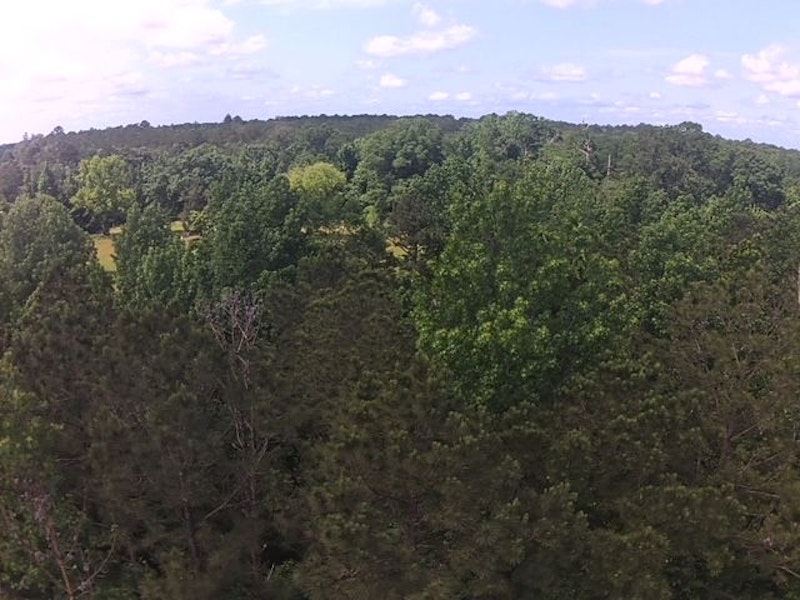20 Beautiful Acres in Leroy, AL - 427 Connerly Road, Leroy AL